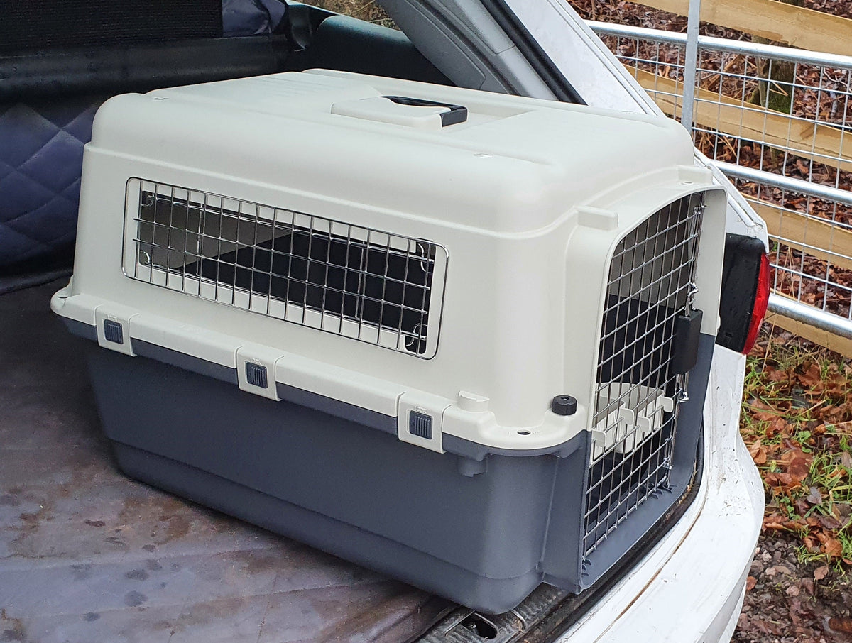 Henry Wag IATA Approved Air Kennel for Dog – henrywagindia